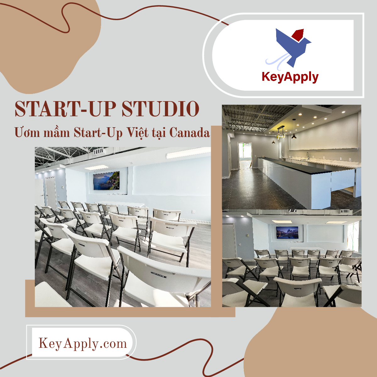 start-up_studio_1200x1200.png?v=1695321486